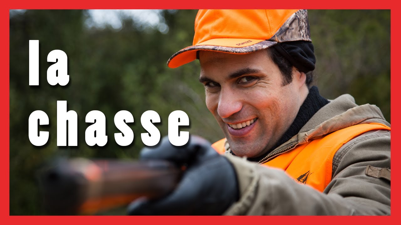 AMI DES LOBBIES #3 - La chasse, ça te dépasse - Blogothèque animaliste ...